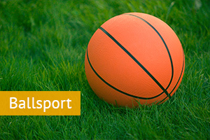 Ballsport – Aula Verlag